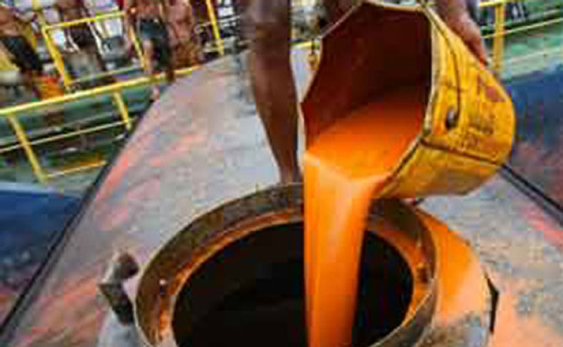 Palm Oil News - 5 Provinces within Highest CPO Production in Indonesia